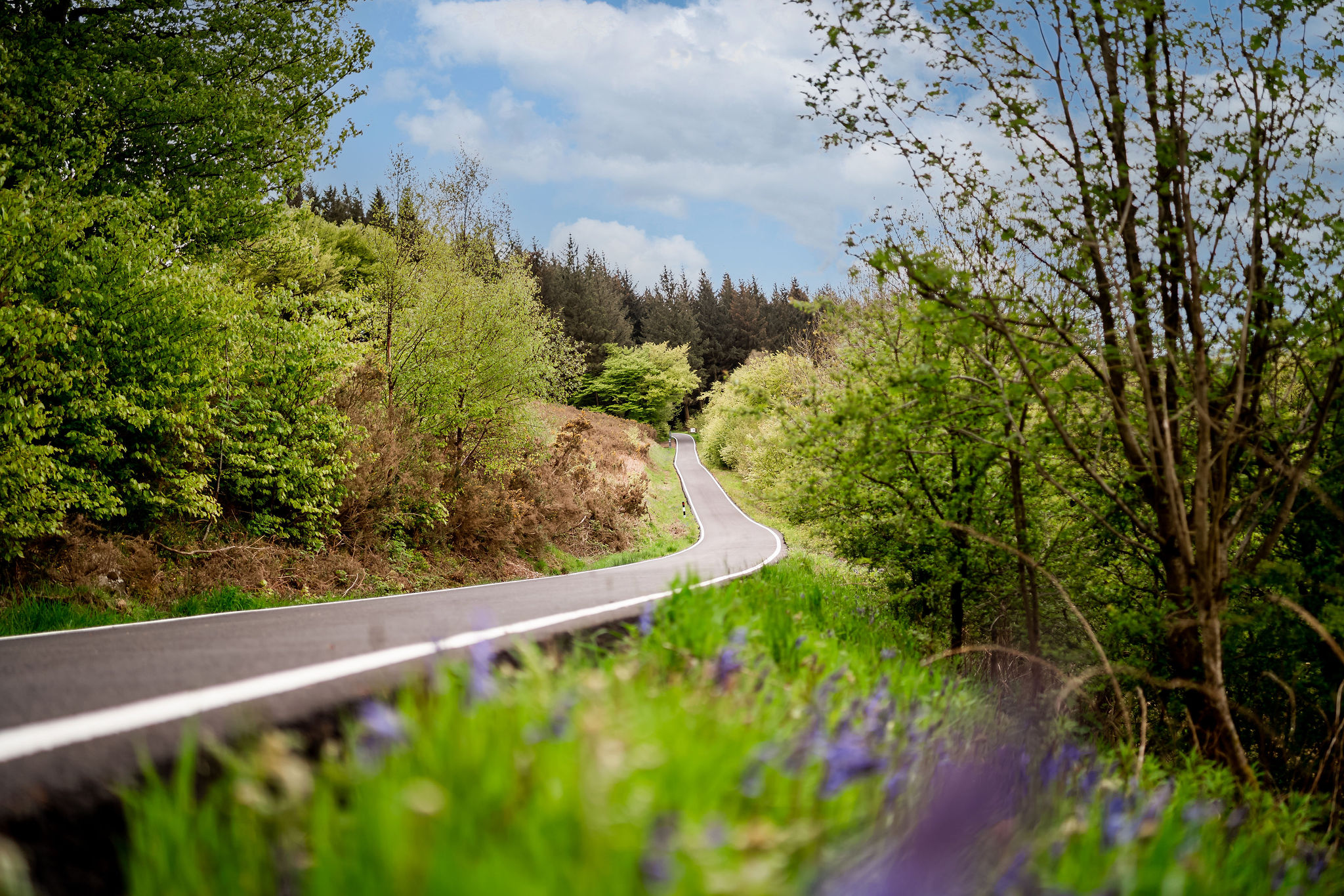 Cwmcarn Forest Drive returns... - Cwmcarn Forest Cwmcarn Forest