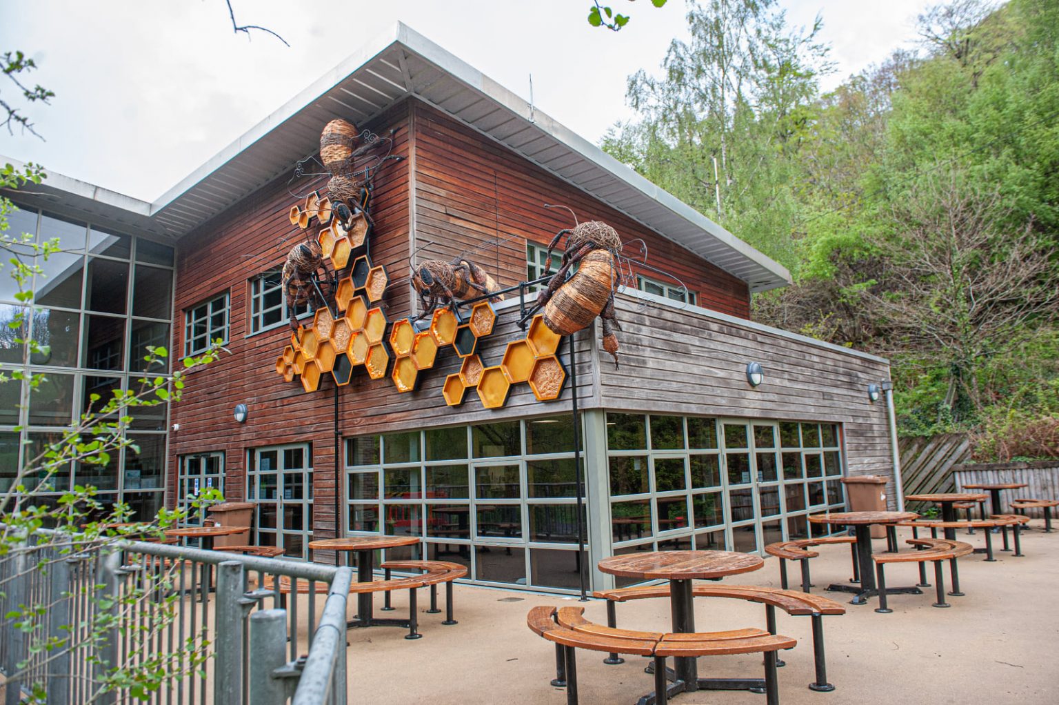 Five fabulous things to see and do at Cwmcarn Forest - Cwmcarn Forest ...