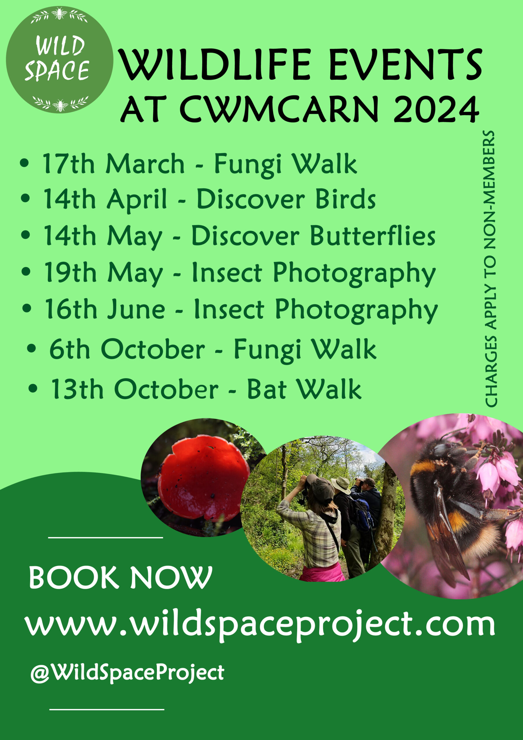 Home - Cwmcarn Forest Cwmcarn Forest