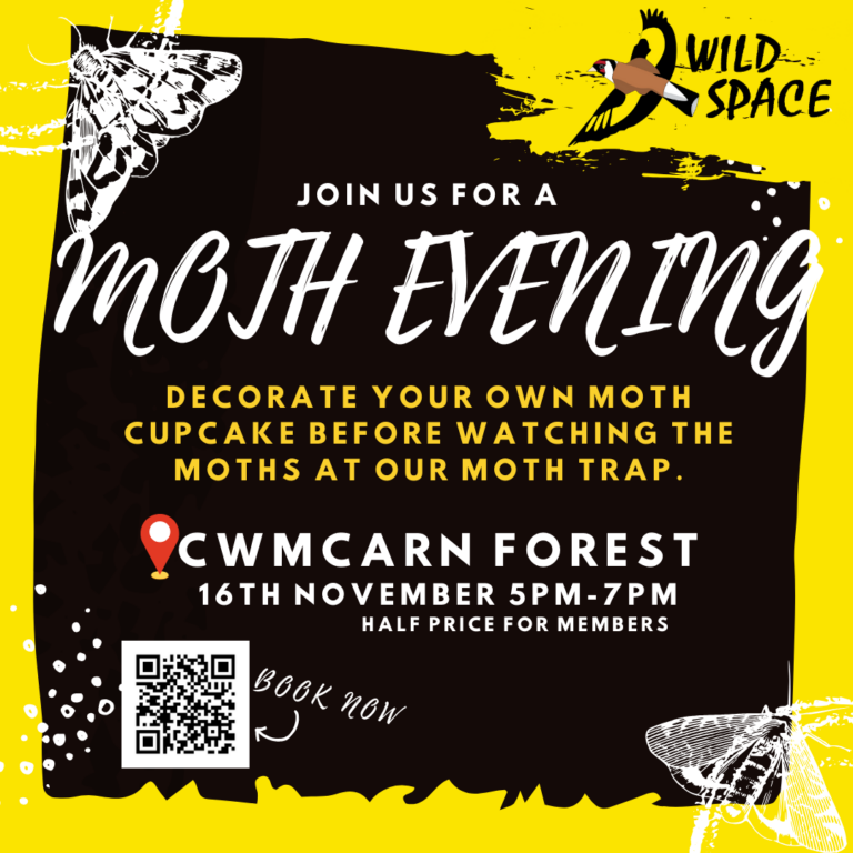 Home - Cwmcarn Forest Cwmcarn Forest