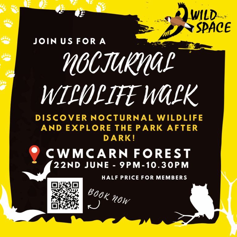 Home - Cwmcarn Forest Cwmcarn Forest